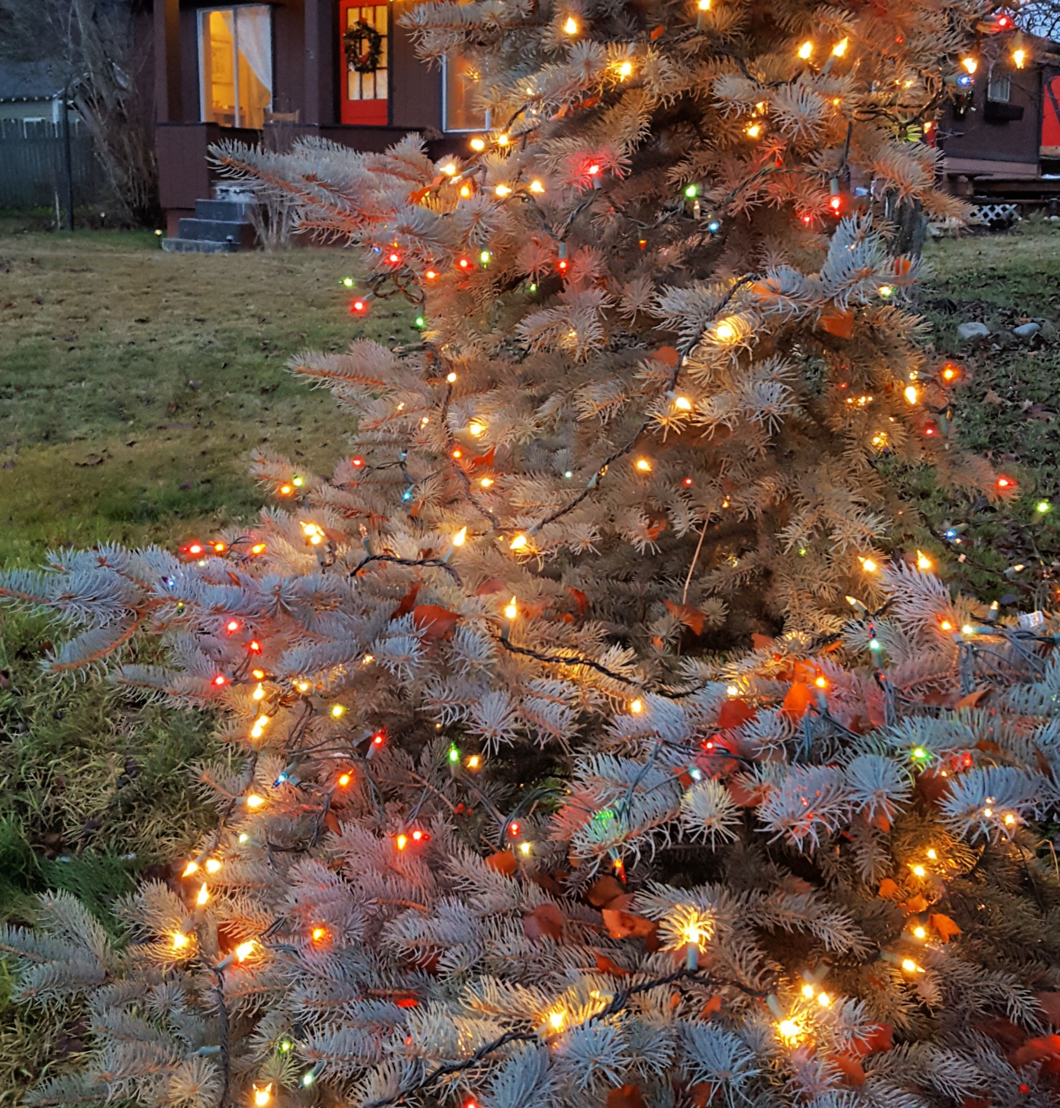 An Imperfect Christmas Tree | StorytellerGirl